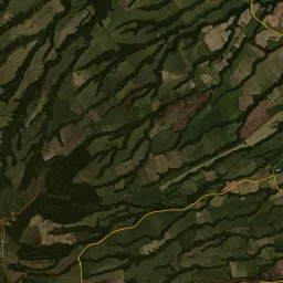 DayZ Interactive Map