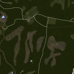 DayZ Interactive Map