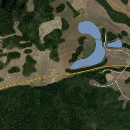 DayZ Interactive Map