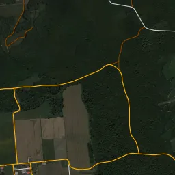 DayZ Interactive Map