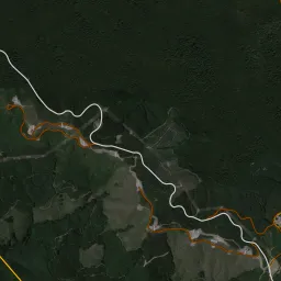 DayZ Interactive Map