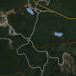 DayZ Interactive Map