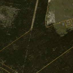 DayZ Interactive Map