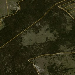 DayZ Interactive Map