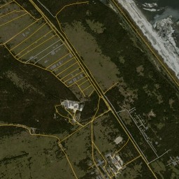 DayZ Interactive Map