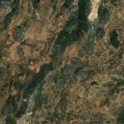 DayZ Interactive Map