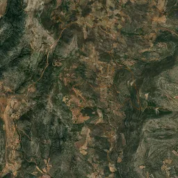 DayZ Interactive Map