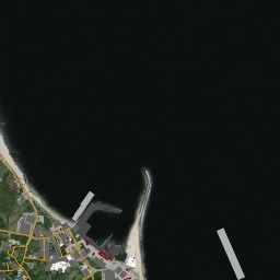 DayZ Interactive Map